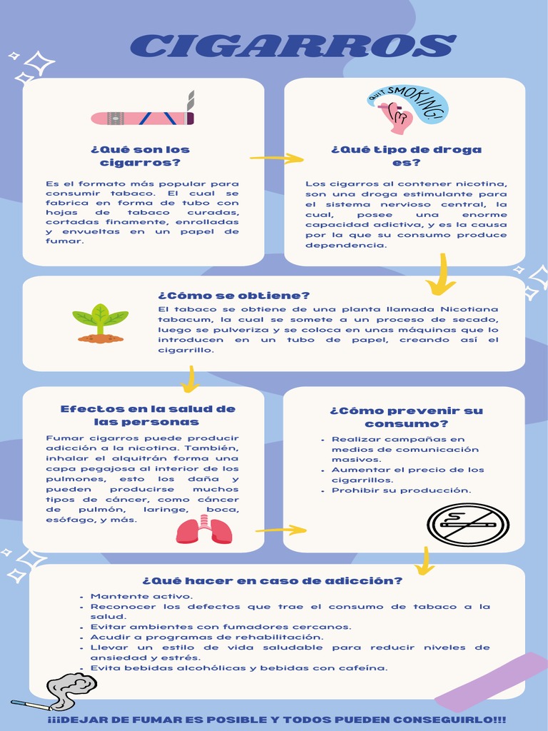 Infografía Cigarros | PDF