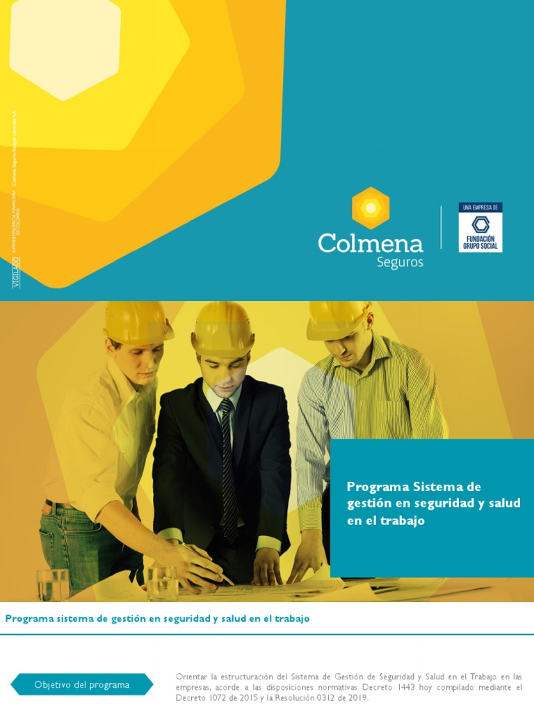 Presentacion Programa SG-SST | PDF | Auditoría | Valores