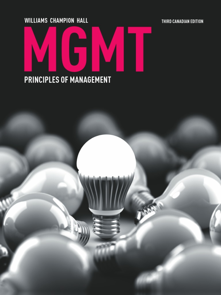 MGMT Principles of Management (3rd Canadian Edition) | PDF | Corporate ...
