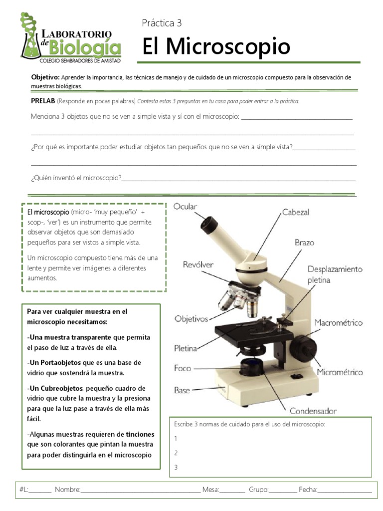 Hoja De Trabajo Sobre Microscopio Para La Escuela Secundaria