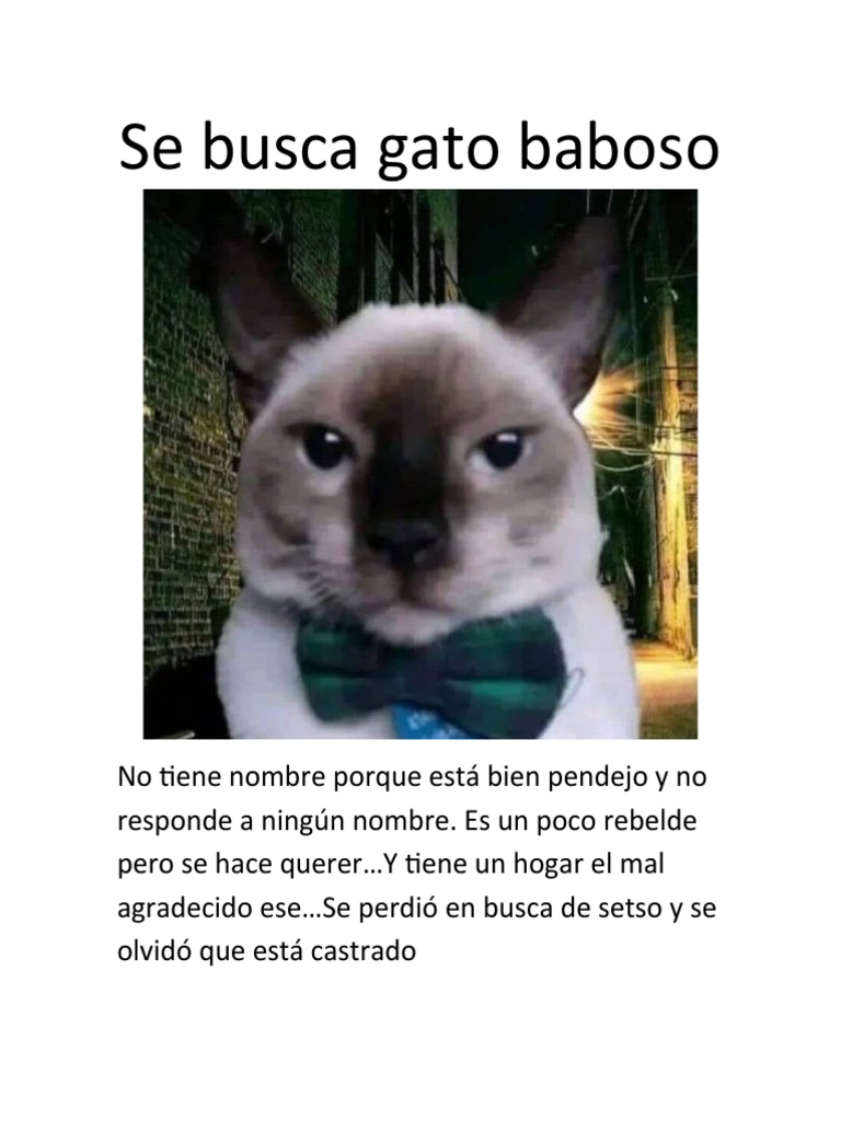Se Busca Gato Baboso | PDF