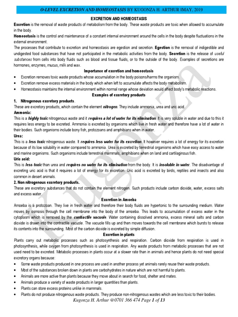 Excretion and Homeostasis Overview | PDF | Excretion | Thermoregulation