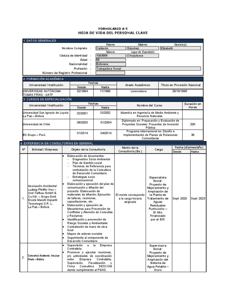 Formulario A5 | PDF | Bolivia | Minería