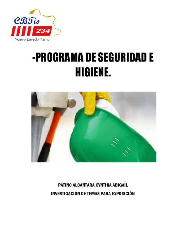 Programa de Seguridad e Higiene | PDF | Valores | Higiene