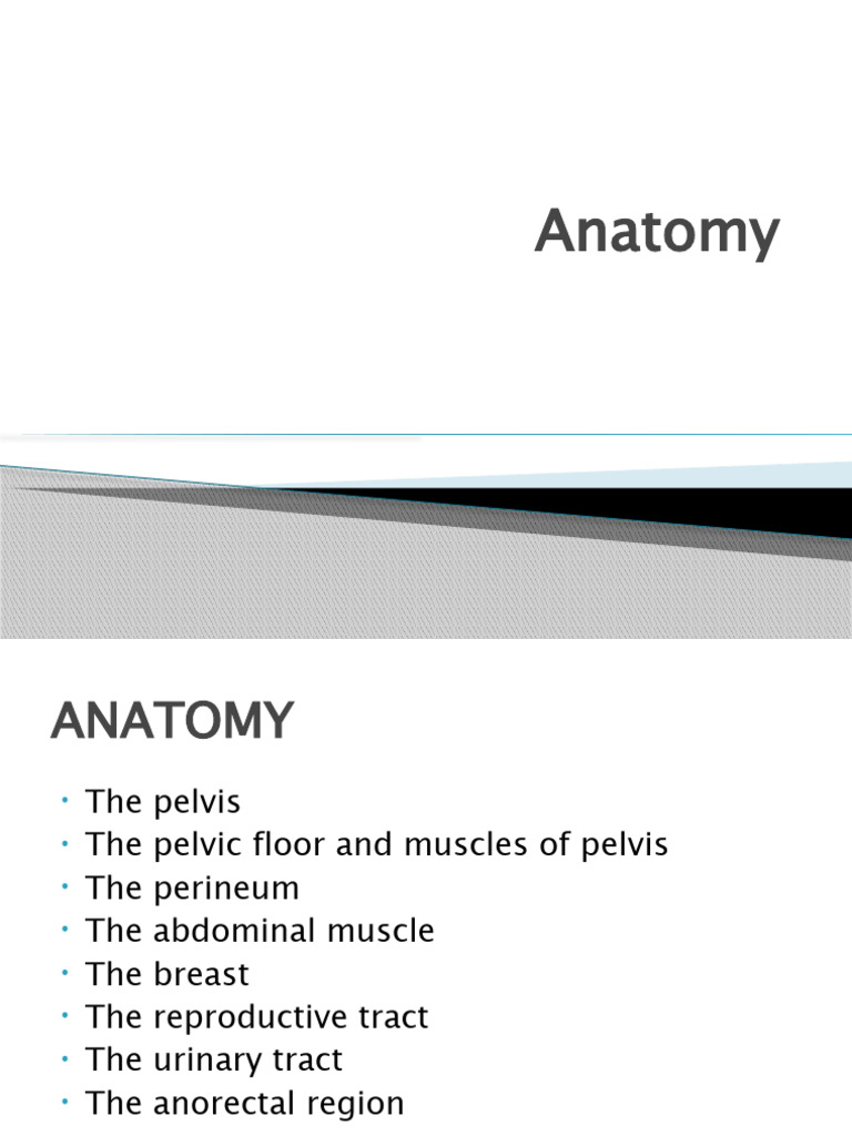 Anatomy | PDF | Pelvis | Musculoskeletal System