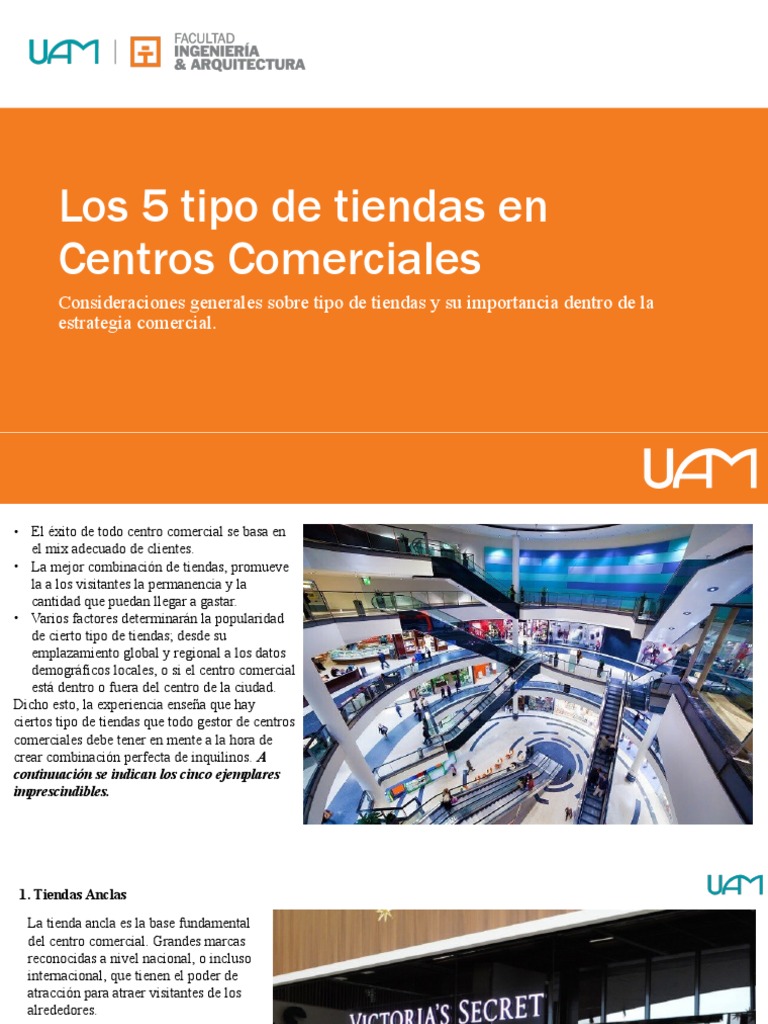 Cinco Tipos de Tiendas Comerciales | PDF | Business | Economias