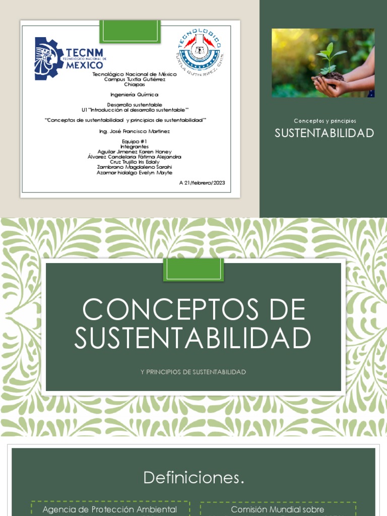 Conceptos y Principios de Sustentabilidad | PDF | Sustentabilidad | Desarrollo sostenible