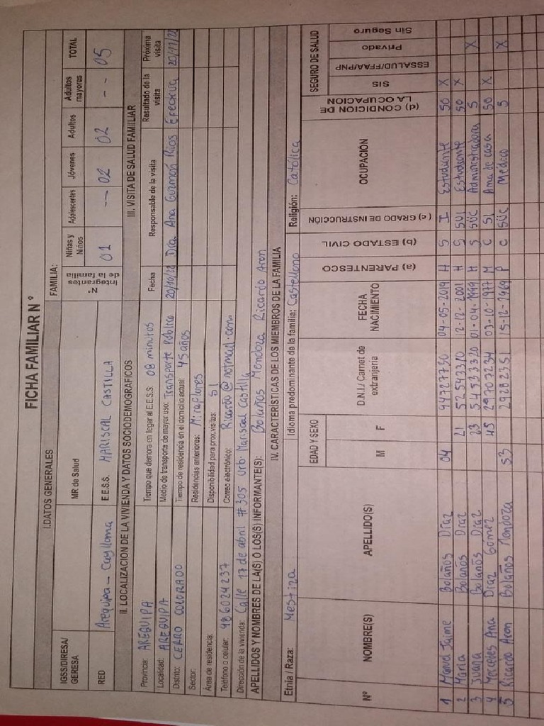 Ficha Familiar 2 | PDF