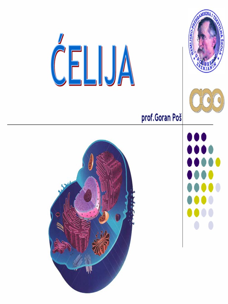 01 Celija | PDF