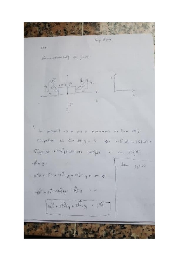 Eval Physique Fares Nasfi | PDF
