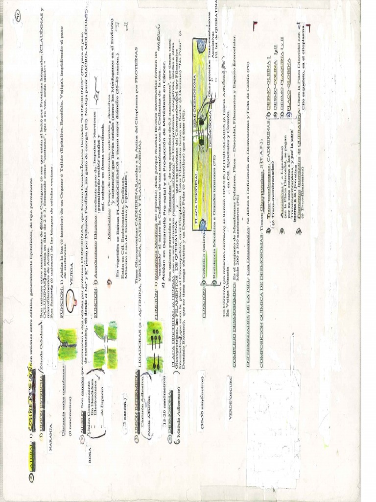 Biologia Pag 41-46 | PDF