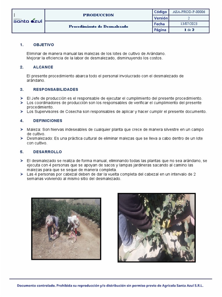 Procedimiento Manual de Desmalezado de Arándano | PDF