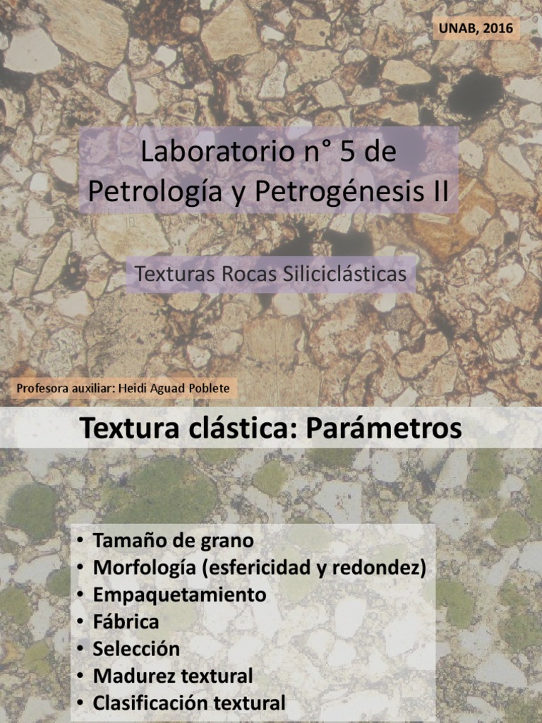 Lab 5 Texturas Rxs Siliciclásticas | PDF | Roca clástica | Materiales naturales