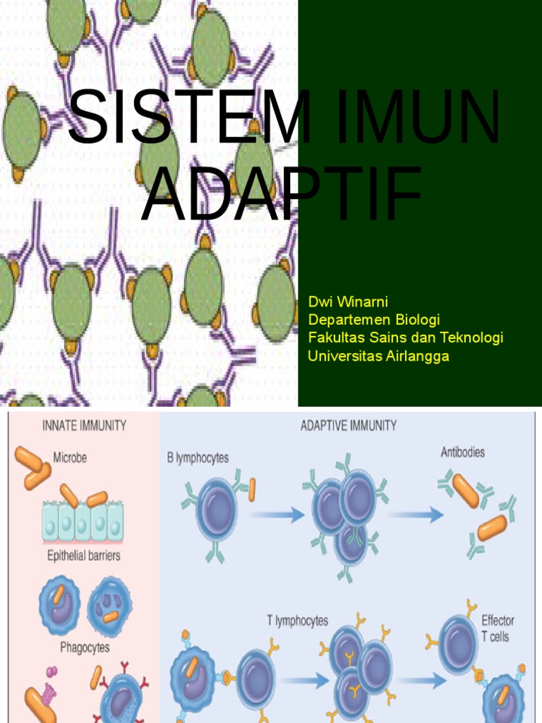 Sistem Imun Adaptif dan Sel T | PDF