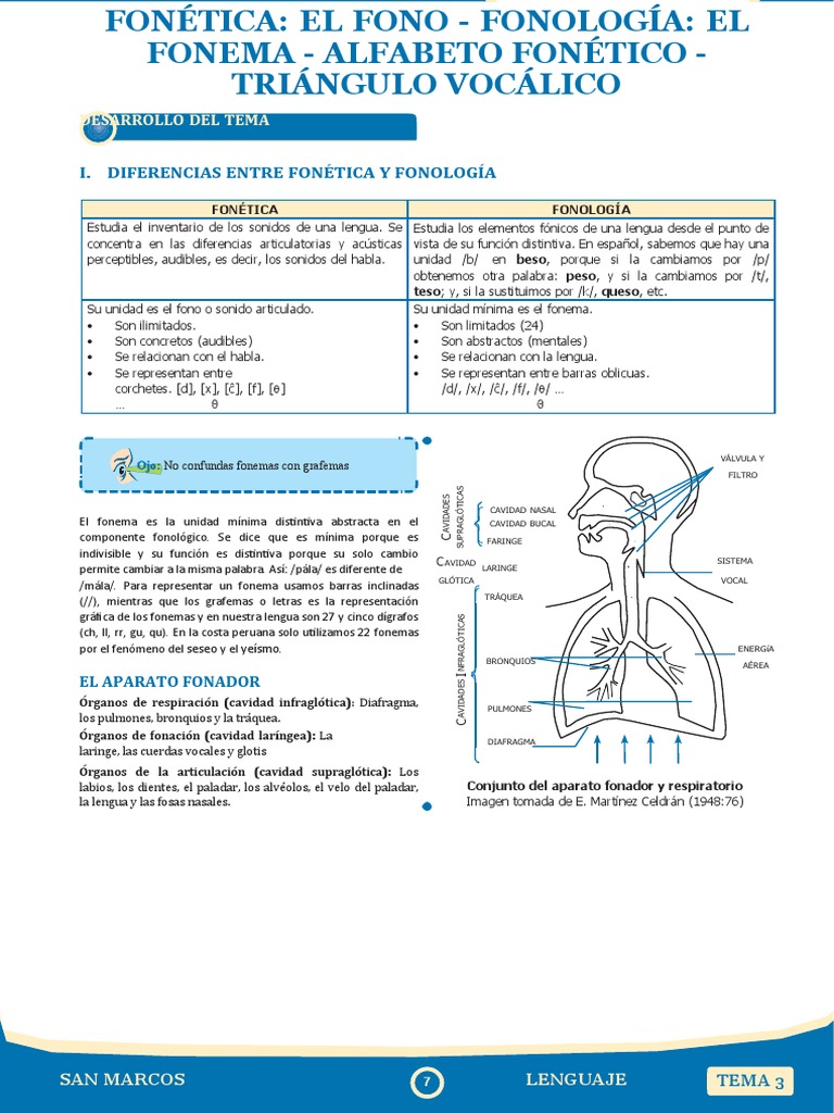 Fonética y Fonología en Español | PDF | Fonética | Fonología