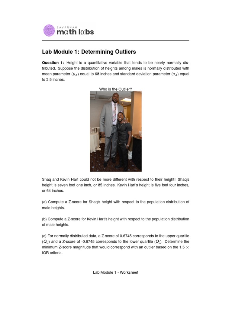 Lab 1 Outliers Worksheet A | PDF