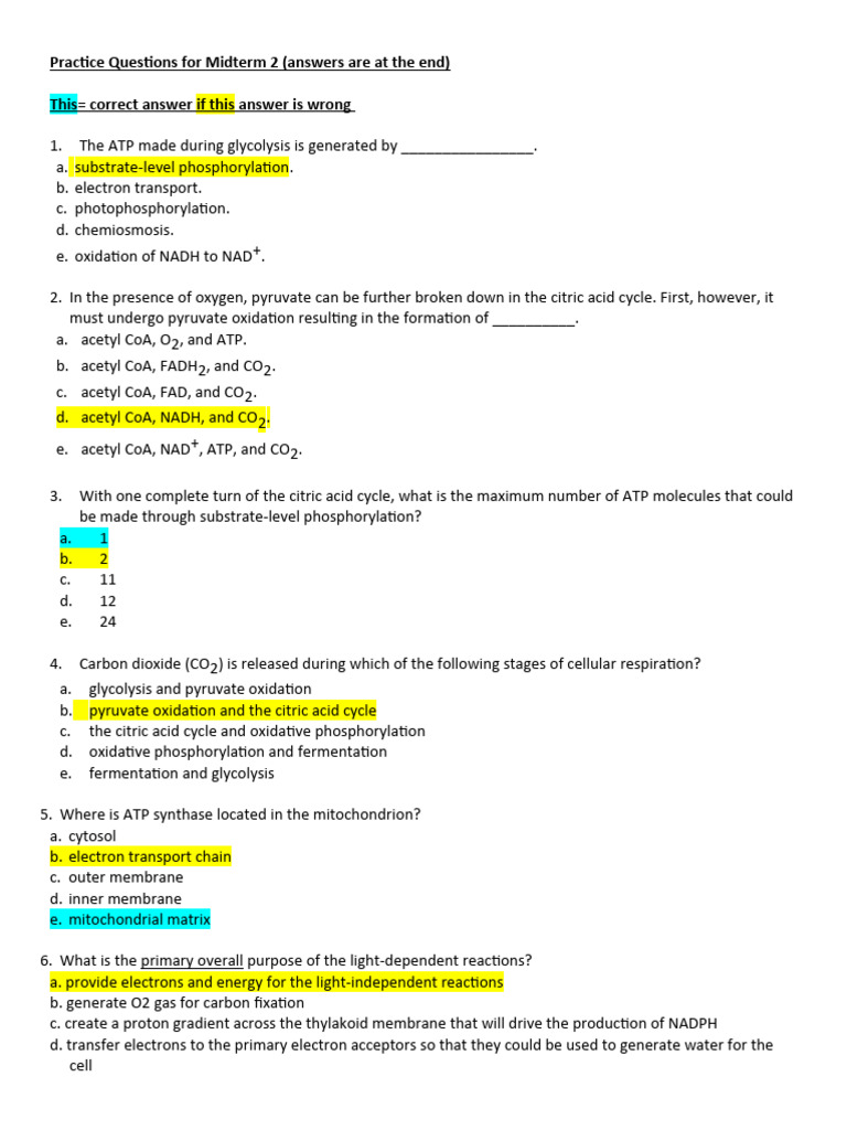 Midterm 2 Practice Questions and Answers | PDF | Adenosine Triphosphate | Meiosis