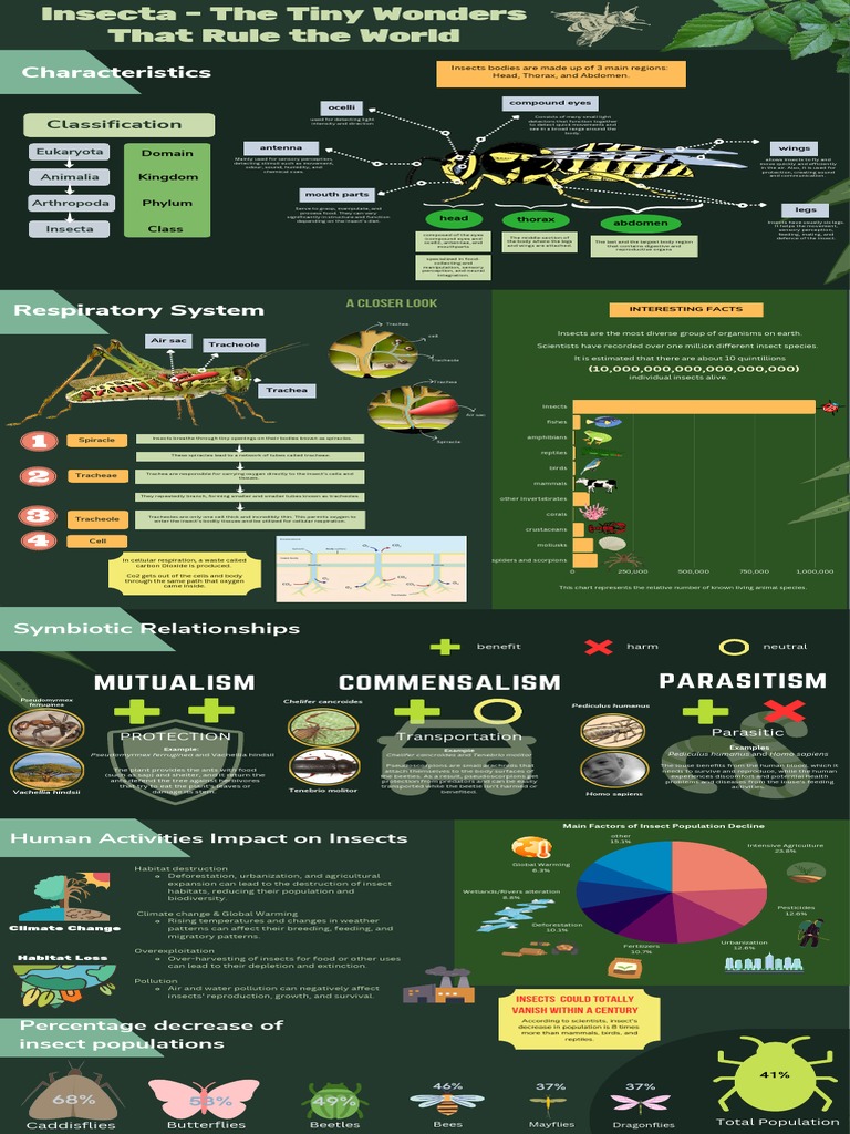 (Original Size) Green & Brown Monstera Plant Fun Facts Data Infographic ...