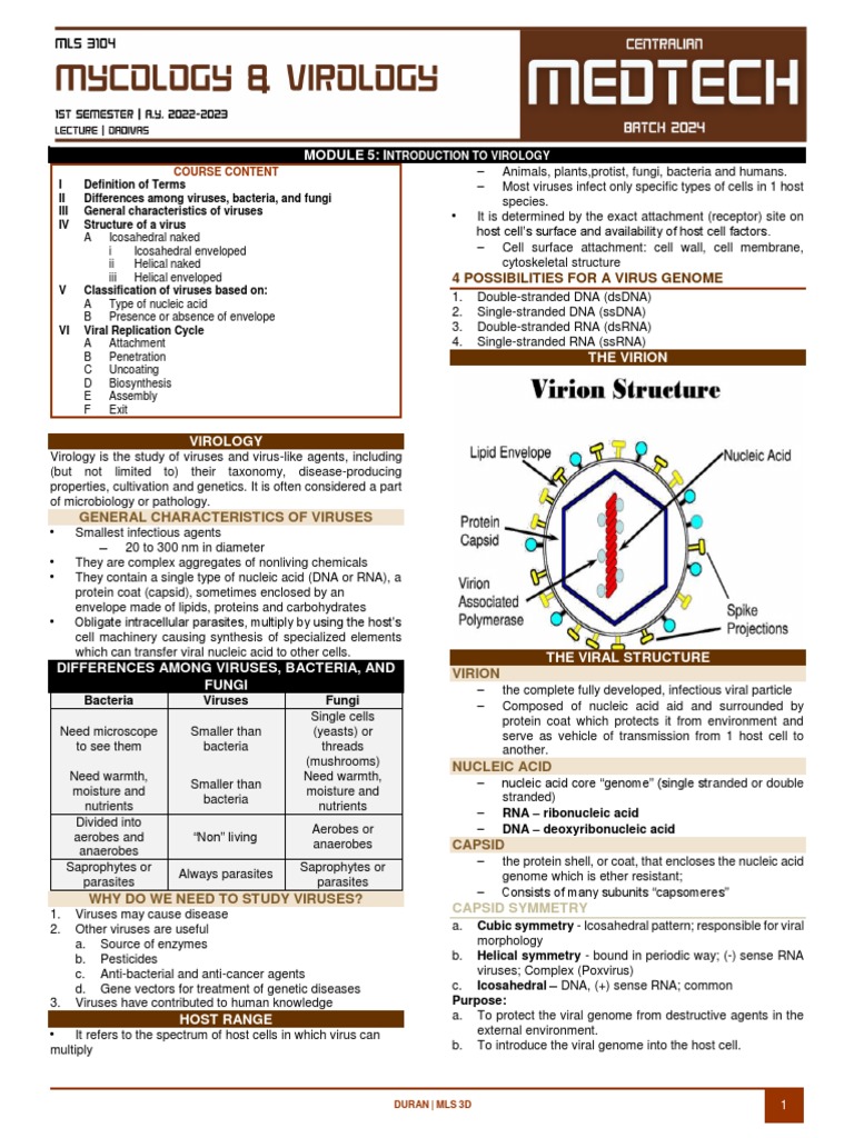 Myco Viro Mod 5 | PDF | Virus | Dna