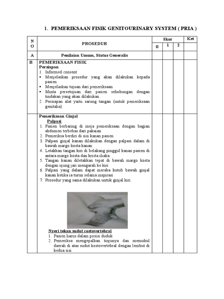 Pemeriksaan Fisik Genitourinary System | PDF
