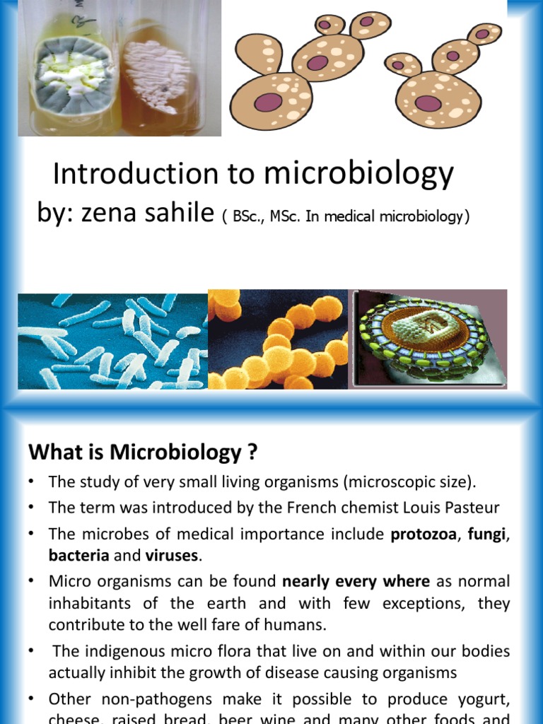 Introduction To Microbiology Pdf Microbiology Bacteria