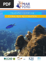 Douglas Sea Scale | PDF | Physical Oceanography | Scientific Phenomena