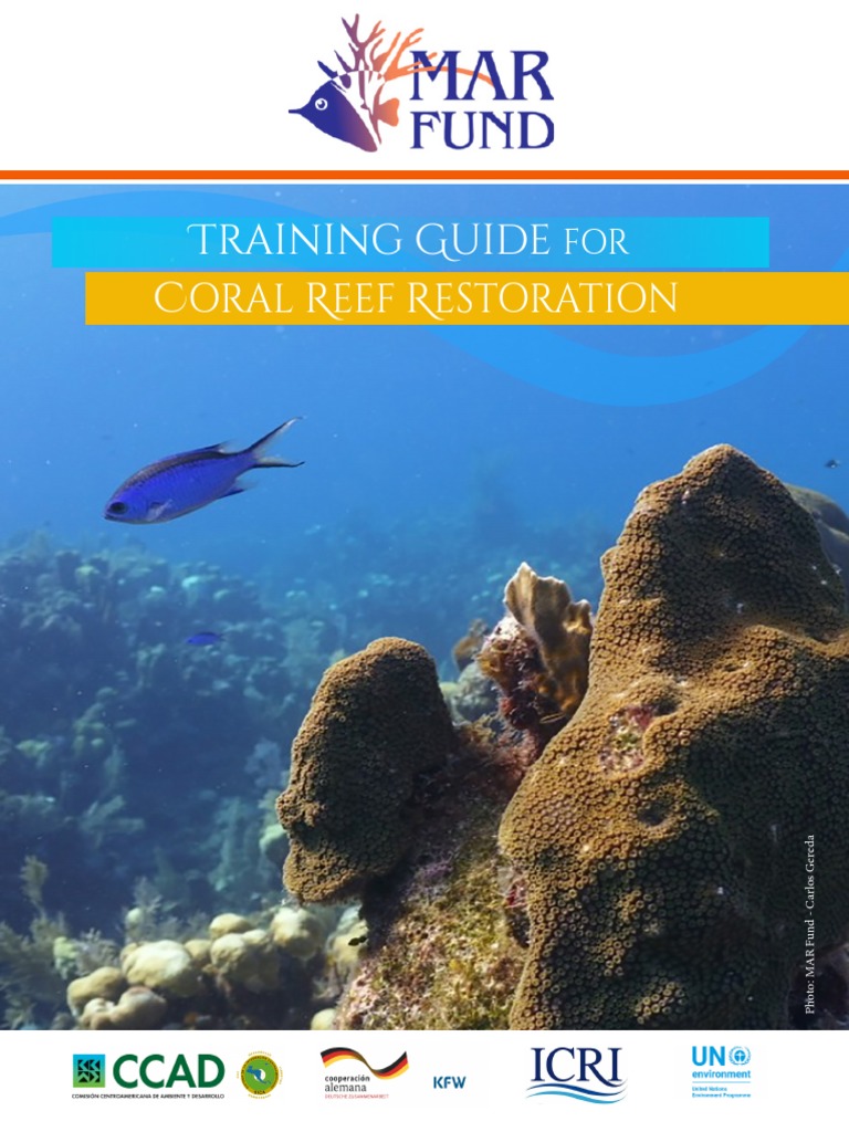 Training Guide For Coral Reef Restoration | PDF | Coral Reef ...