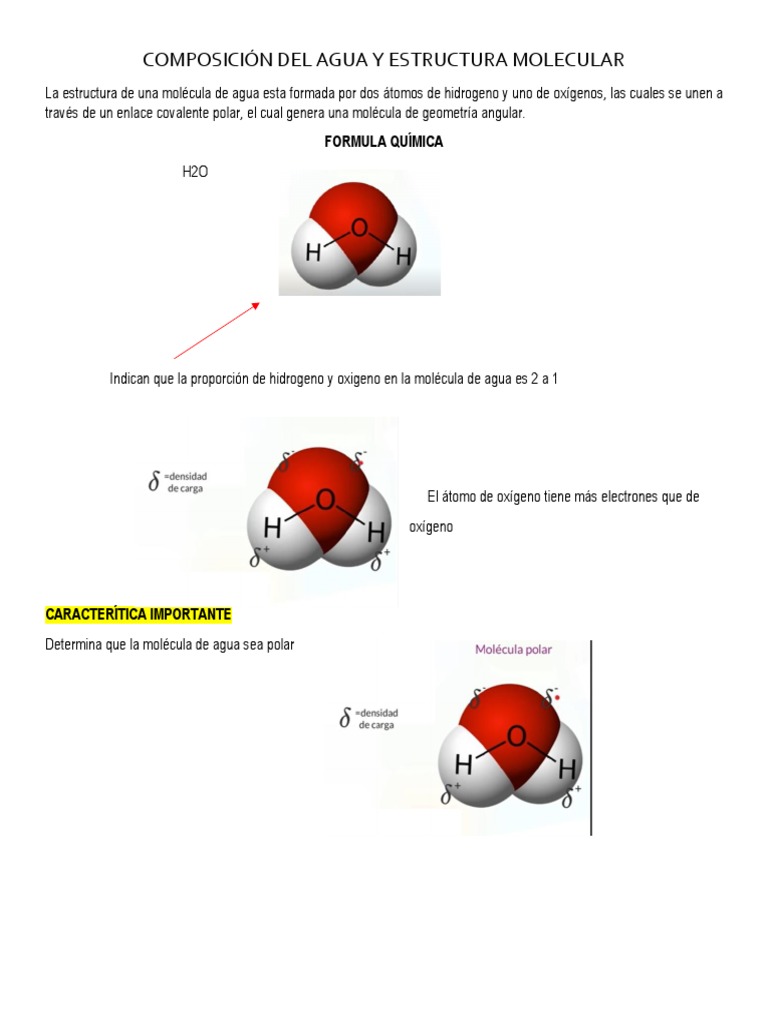 Composición Del Agua y Estructura Molecular | PDF