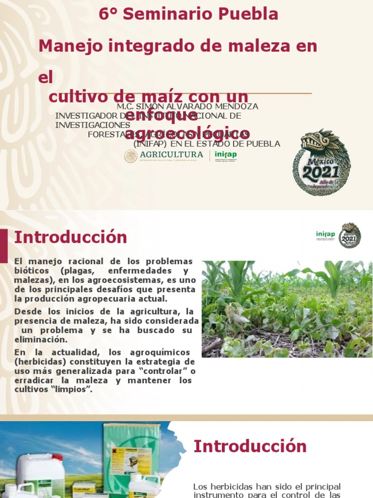 Manejo Integrado de Malezas en El Cultivo de Ma Z Con Enfoque Agroecologico | PDF | Agricultura ...