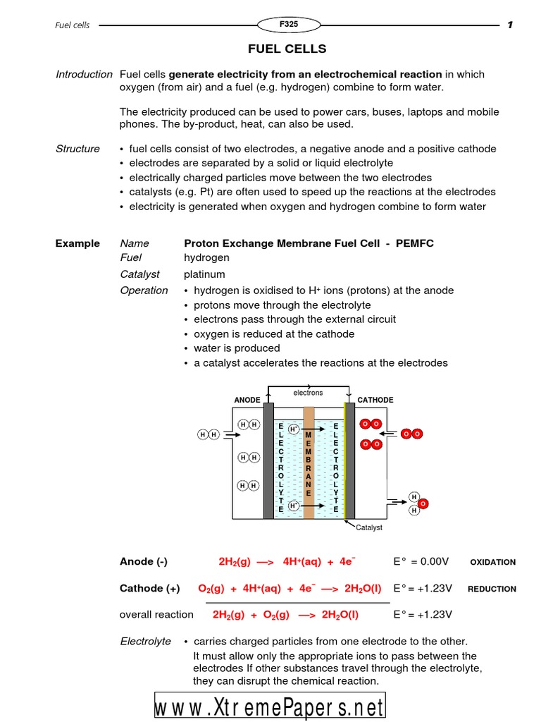 Fuel Cells | PDF | Fuel Cell | Hydrogen