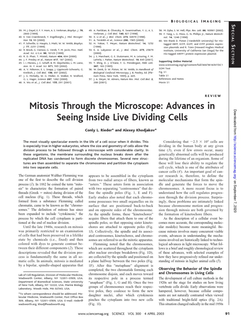 Advances in Mitosis Imaging Techniques | PDF | Mitosis | Fluorescence ...