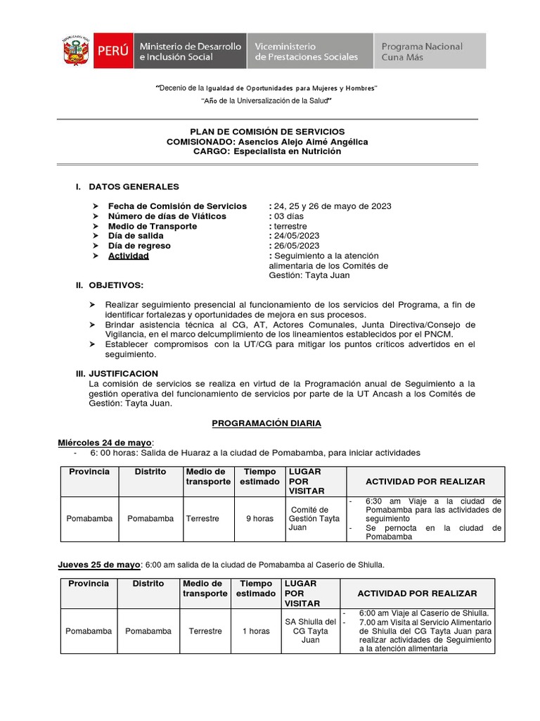 Modelo Plan de Comisión de Servicios | PDF