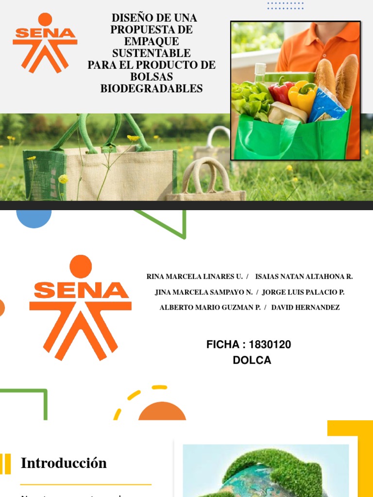 2-Presentacion Proyecto GRUPO 3-Diseño Bolsa Biodegradable (18 Sept 2020) | PDF | Tela no tejida ...