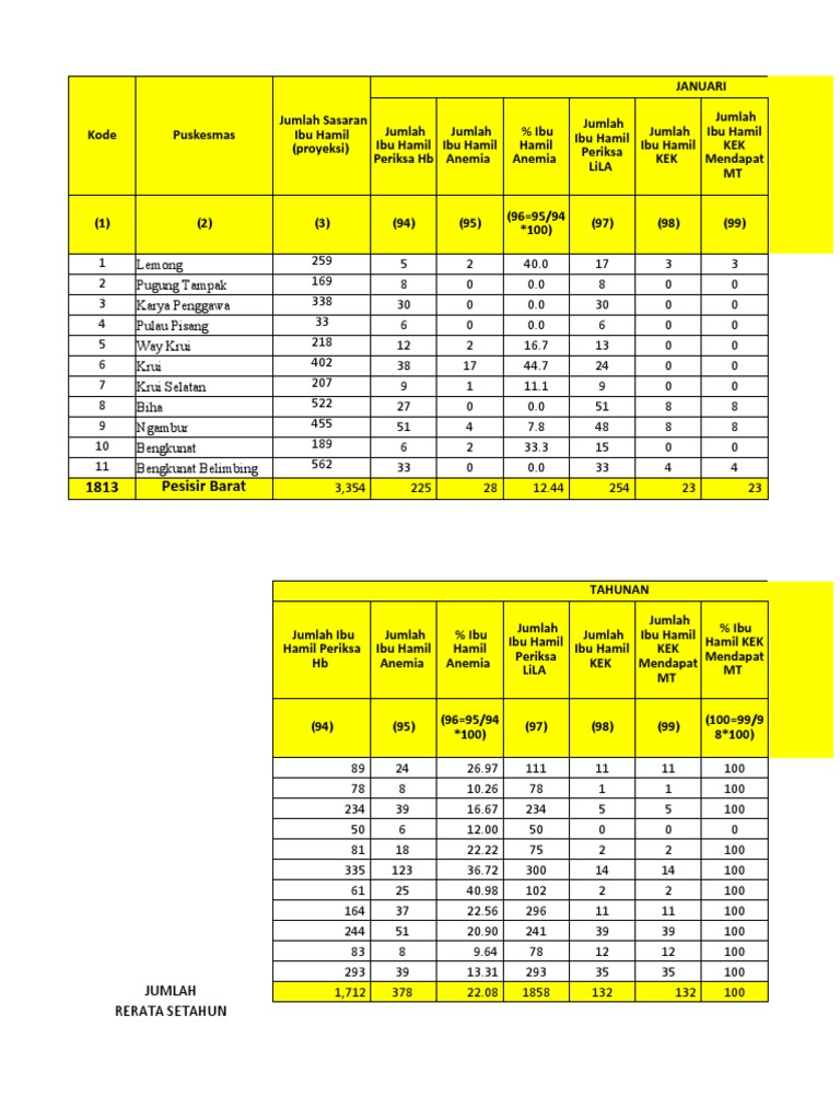 2data Bumil Dan Nifas 2023 | PDF