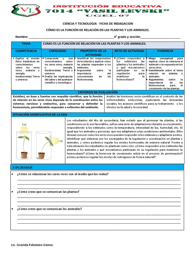 FICHA SEMANA 25 EDA 6 EXPLICA Cómo Es La Función de Relación en Las Plantas y Los Animales | PDF ...