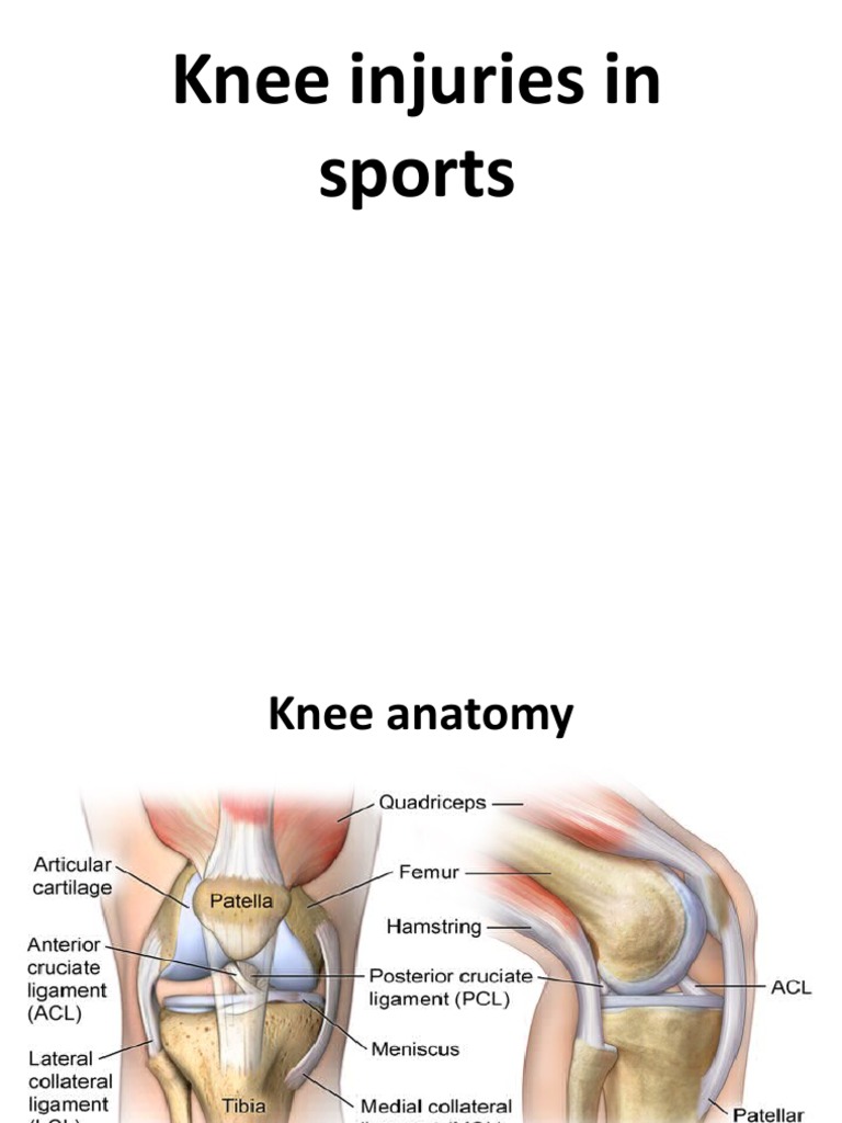 Knee Injuries Part 1 | PDF | Knee | Joints