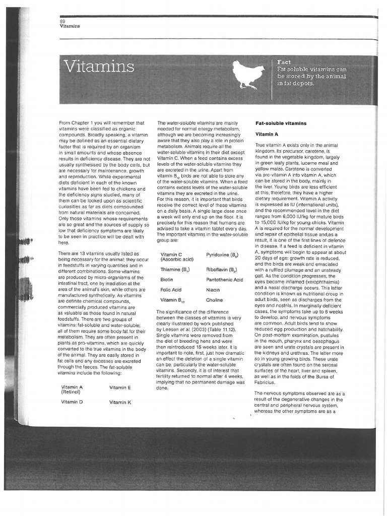 Chapter 5 - Vitamins | PDF