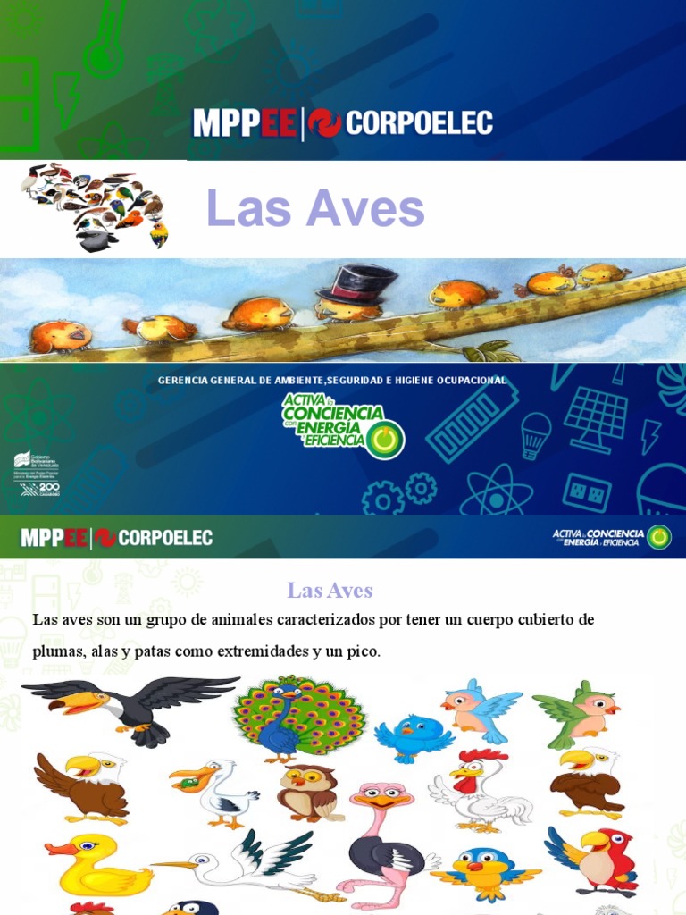 Las Aves | PDF | Aves | Ala