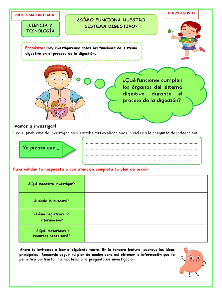 2-Ficha-Mart 29 Agosto-Cyt - Cómo Funciona Nuestro Sistema Digestivo | PDF | Digestión | Sistema ...