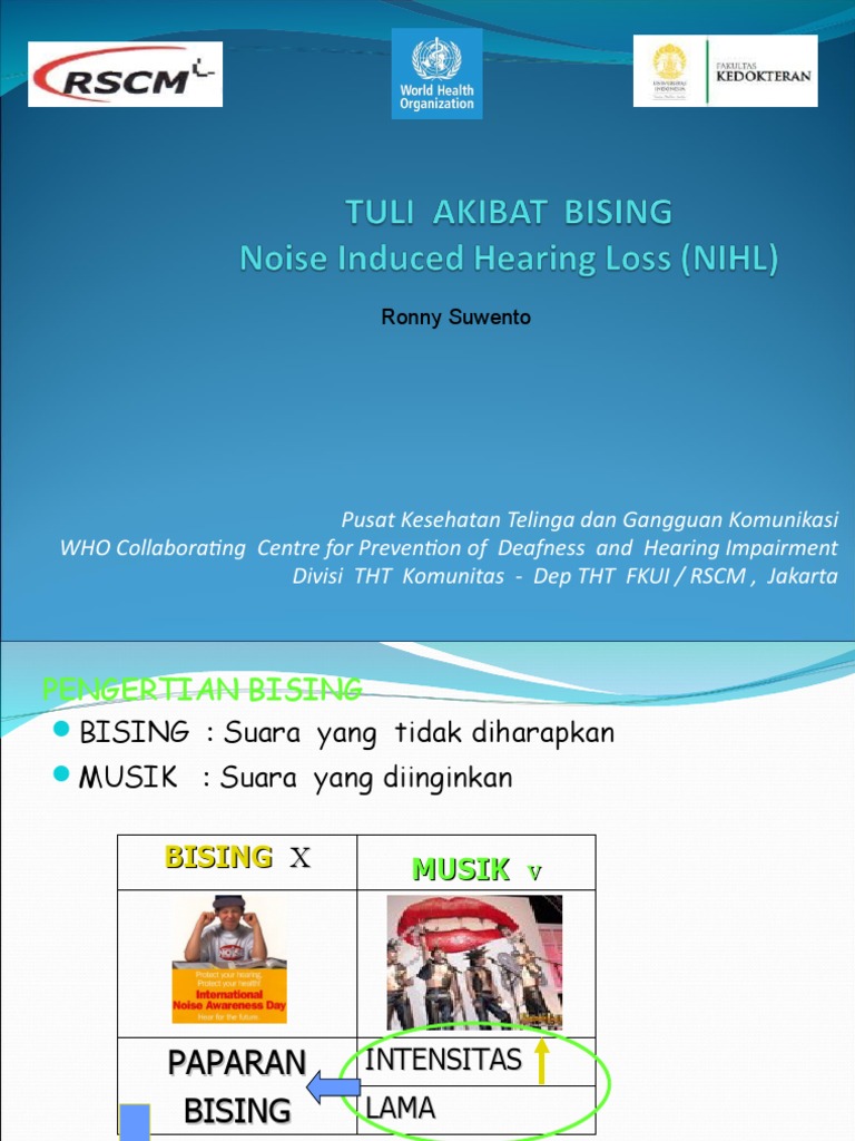 NIHL | PDF | Decibel