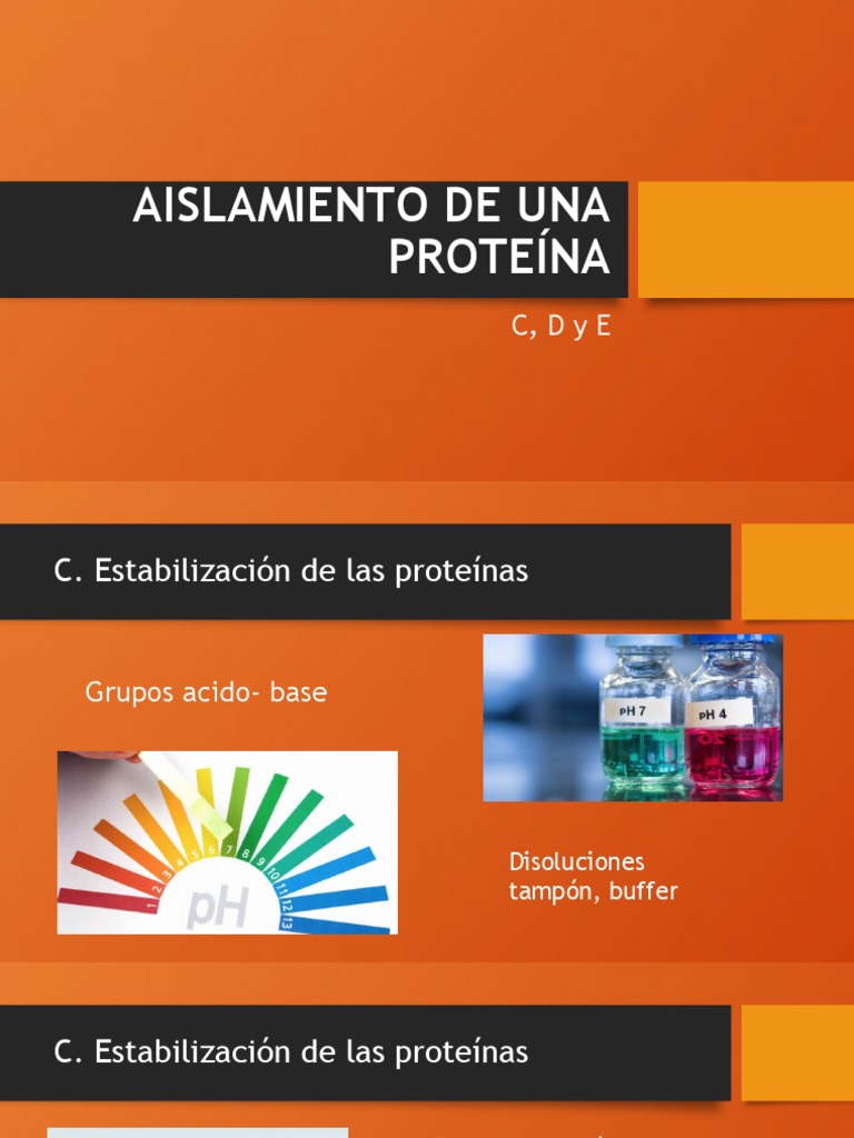 Aislamiento de Una Proteína - 3 | PDF | Proteínas | Enzima