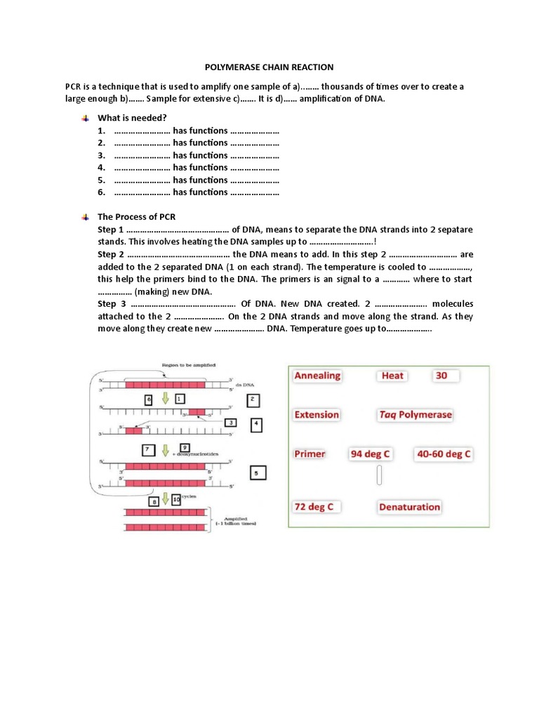 Polymerase Chain Reaction | PDF | Science & Mathematics