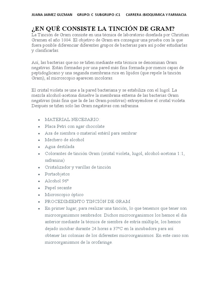 En Qué Consiste La Tinción de Gram | PDF