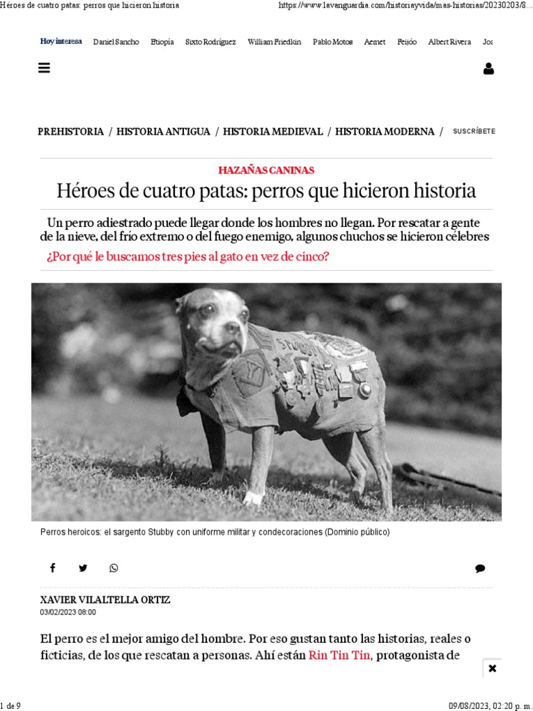 Héroes caninos: el sargento Stubby | PDF | Perros