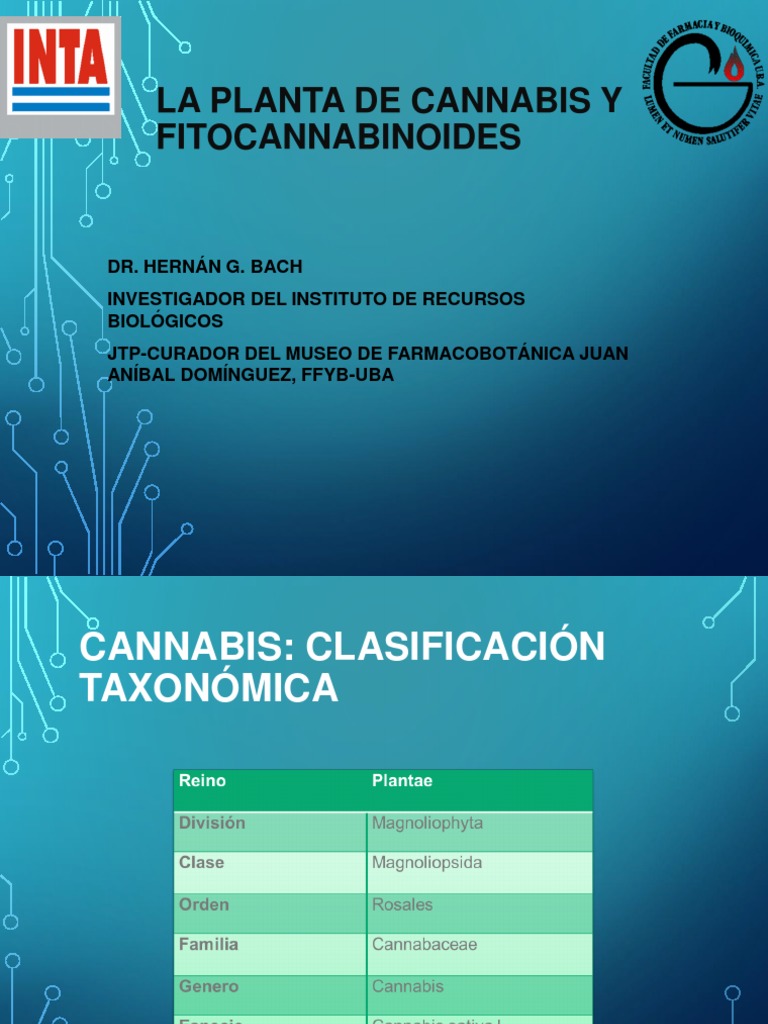 Taxonomía y Biología del Cannabis | PDF | Flores | Taxonomía (biología)