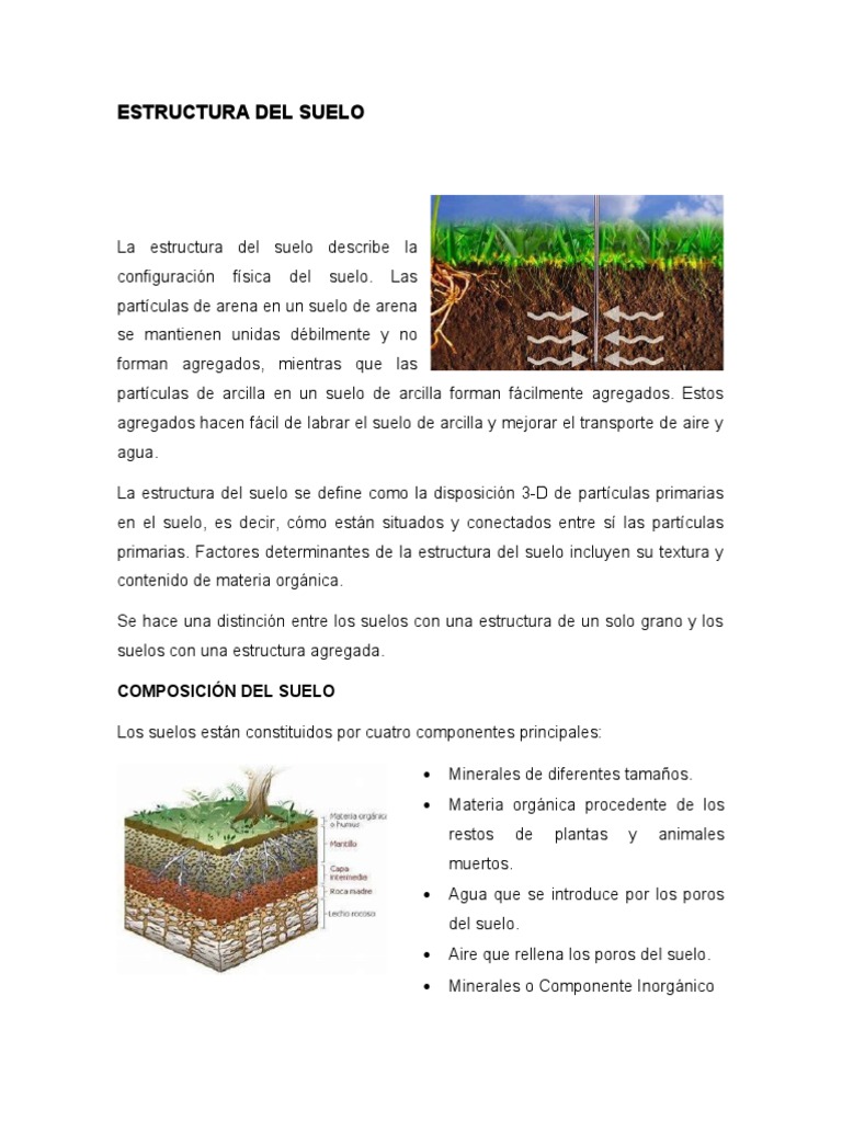 Estructura Del Suelo | PDF | Suelo | Roca (geología)