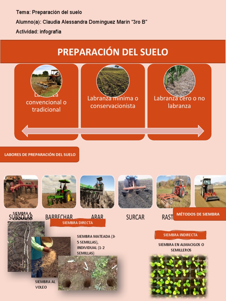 Infografía Preparación Del Suelo SM3 | PDF