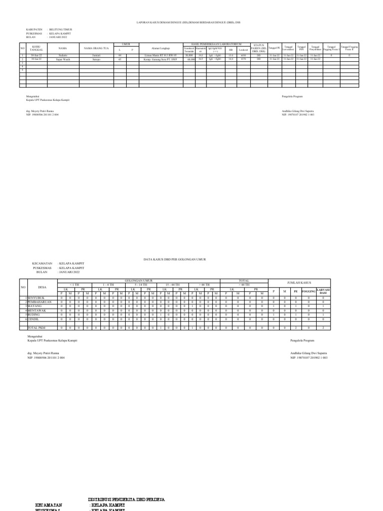 Laporan DBD DK | PDF