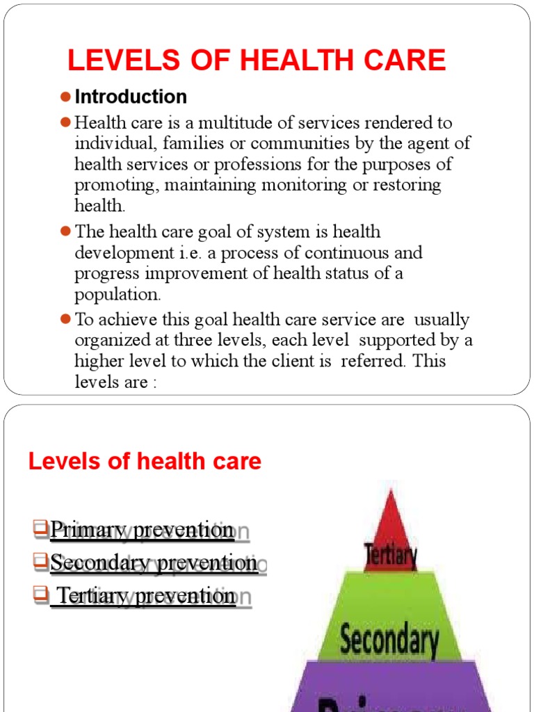 Levels of Health Care | PDF | Health Care | Hospital