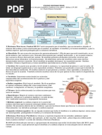 Actividad Sistema Nervioso 1 | PDF | Salud y bienestar